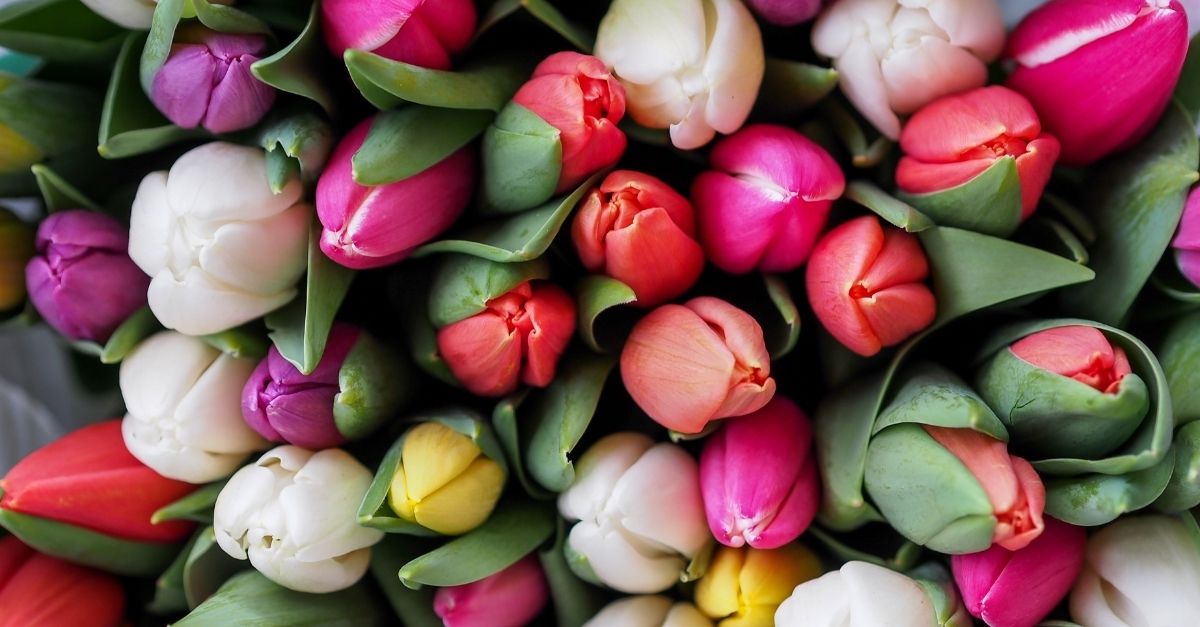 Easter Pay Dates 2021 | Protocol Education